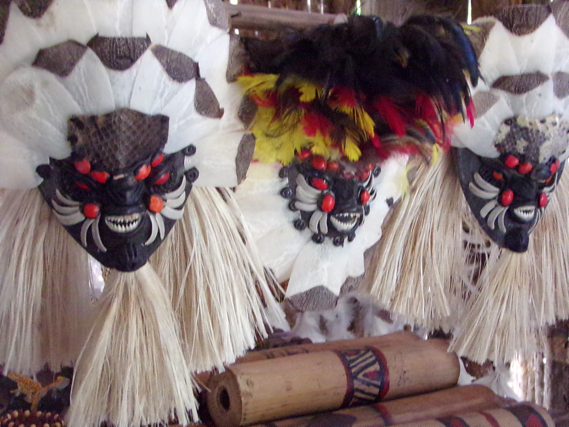 Manaus; A visit to see the indigenous Dessanas tribe and Rubber Baron ...
